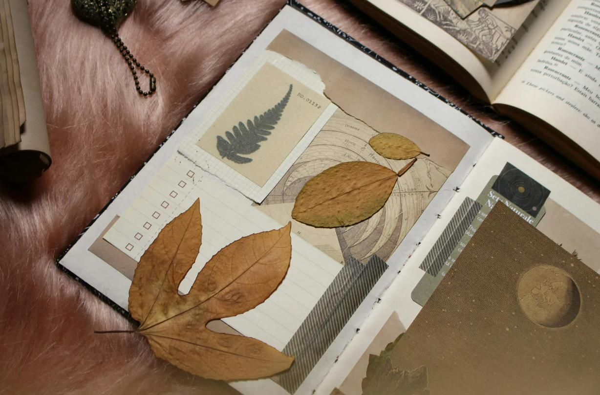 DIY Travel Journals: A Creative Way to Document Your Adventures