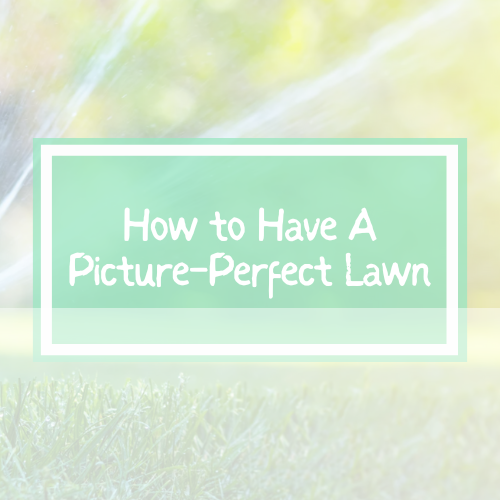 How To Achieve A Picture-Perfect Lawn With Grasshopper Lawns
