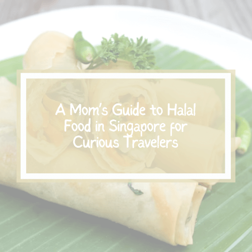 A Mom’s Guide to Halal Food in Singapore for Curious Travelers